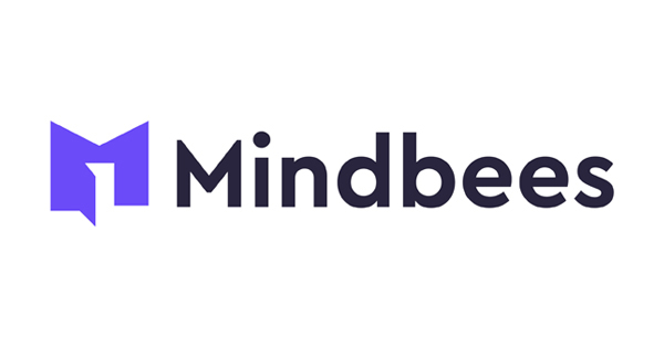 Responsive Web Design Services | Mindbees
